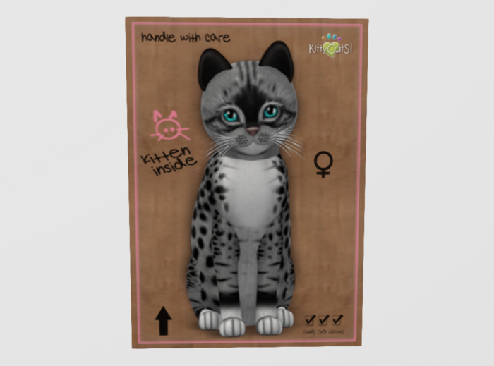 Second Life Marketplace - Female Breedable Cat KittyCatS Genesis ...