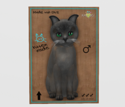 Second Life Marketplace - Male Breedable Cat KittyCatS Tonkinese - Blue ...