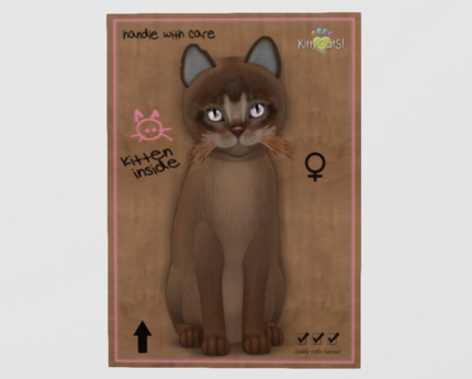 Second Life Marketplace - Female Breedable Cat KittyCats Abyssinian ...