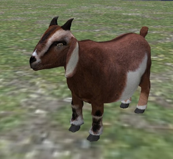 Second Life Marketplace - DFS Goat Pygmy - Female