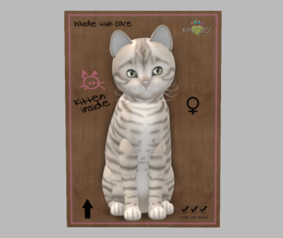 Second Life Marketplace - Male Breedable Cat KittyCarS Toyger - Snow ...