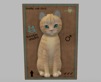 Second Life Marketplace - Male Breedable Cat KittyCatS European ...