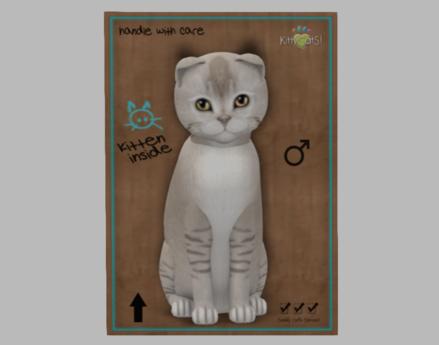 Second Life Marketplace - Male Breedable Cat Burmilla - Lilac Shaded ...