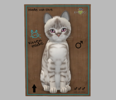 Second Life Marketplace - Male Breedable Cat KittyCatS Australian Mist ...