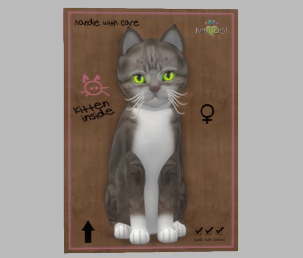 Second Life Marketplace - Female Breedable Cat KittyCatS American ...