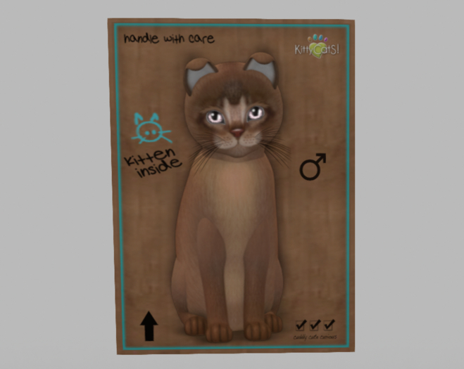 Second Life Marketplace - Male Breedable Cat KittyCatS Abyssinian ...