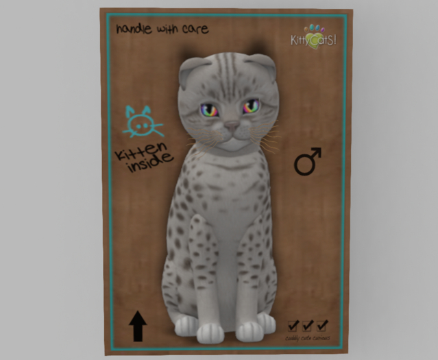 Second Life Marketplace - Male Breedable Cat KittyCatS Ocicat ...