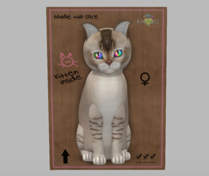 Second Life Marketplace - Female Breedable Cat KittyCatS Burmilla ...
