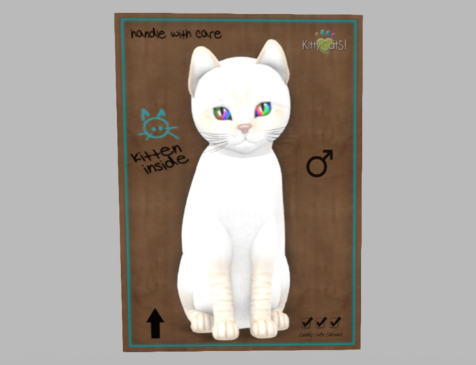 Second Life Marketplace - Male Breedable Cat KittyCatS Balinese - Cream ...