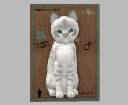 Second Life Marketplace - Male Breedable Cat KittyCatS Australian Mist ...