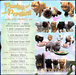 Second Life Marketplace - JIAN Playtime Piglets 13. Tricolor Held BOX