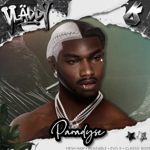 Second Life Marketplace - Vladdy, bLk // "Paradyse" Braids