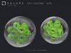 Second Life Marketplace - [ SQUARE ] - CLEO Apple bowl - FREE GIFT