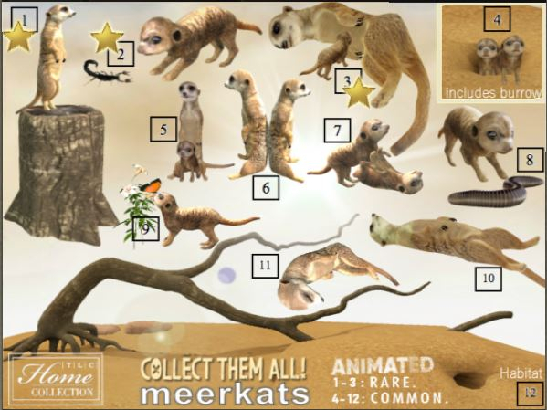 Second Life Marketplace - *TLC Meerkat gacha_8_Common