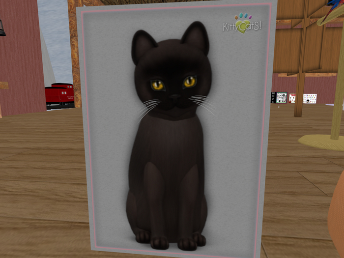 Second Life Marketplace - KittyCats - KittyCats - Robbie - PERMA PET