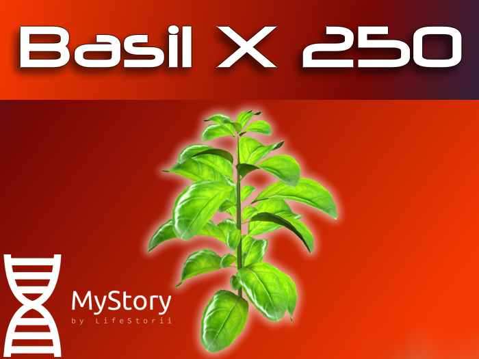 Second Life Marketplace - MyStory Basil x 250