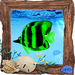 Second Life Marketplace - (7S) Rare Fish: Shift Banded Fish
