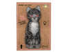 Second Life Marketplace - KittyCatS Box - 7T - F - Bengal - Charcoal ...