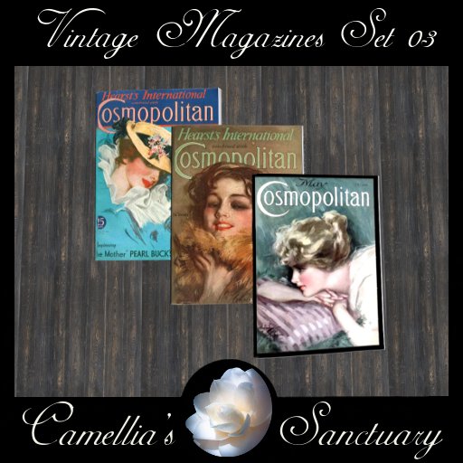 Second Life Marketplace - Vintage Magazines Set 03