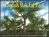 Second Life Marketplace - PBR English Oak Tree *FATPACK* - High detail ...