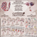 Second Life Marketplace - CURELESS[+] Luxurious Dolls / Sad Tourmaline 1
