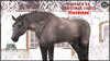Second Life Marketplace - Cheval D'or / Teeglepet Percheron / Christmas ...