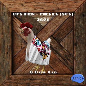 Second Life Marketplace - DFS Hen - Fiesta (SOS) 2021 (0 Days Old)