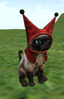 Second Life Marketplace - *HEXtraordinary* Nope Cat - Two Pointed Hat