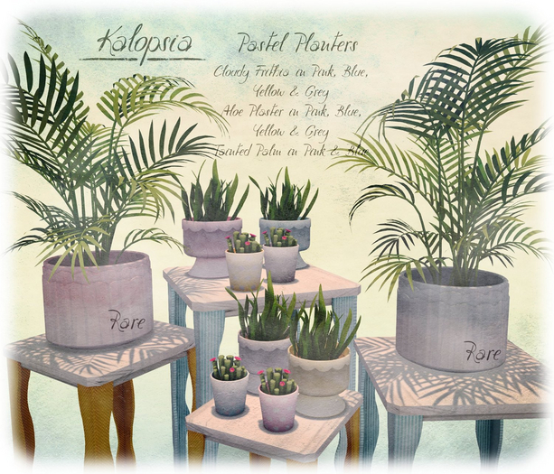 Second Life Marketplace - Kalopsia - Aloe Plaster - Grey