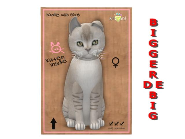 Second Life Marketplace - KittyCatS Box - 9T - F - Burmilla - Lilac ...