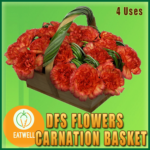 Second Life Marketplace - DFS Flowers - Carnation Basket (Actual Item)