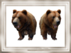 Second Life Marketplace - HB: Brown Bears FULL PERM