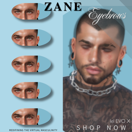 Second Life Marketplace - [LVBEL ] Zane Eyebrows (evox)