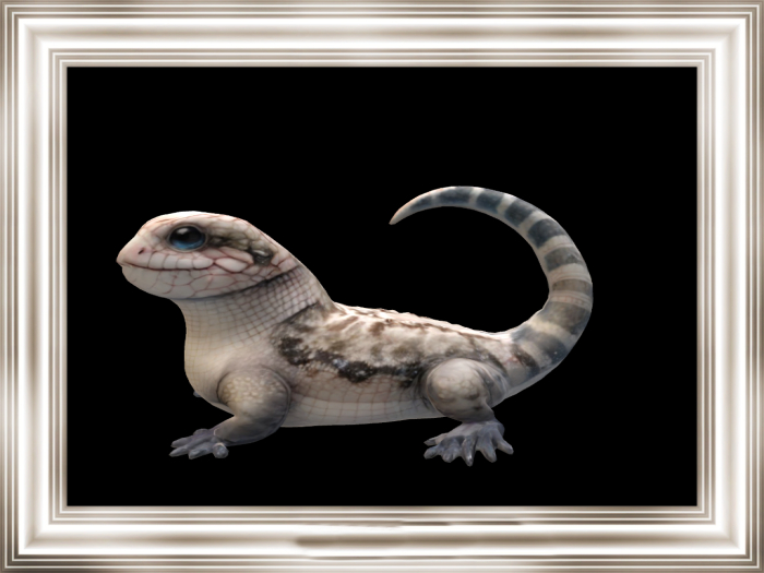 Second Life Marketplace - HB: Starry Lizard FULL PERM