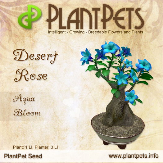 Second Life Marketplace - PlantPet Seed [Desert Rose *Aqua Bloom ...