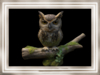 Second Life Marketplace - HB: Perched Owl Statue FULL PERM