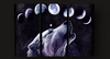 Second Life Marketplace - :::SAGE::: Wolf Phases of the Moon (Panel Art)