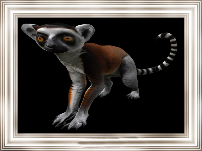 Second Life Marketplace - HB: Lemur prop FULL PERM