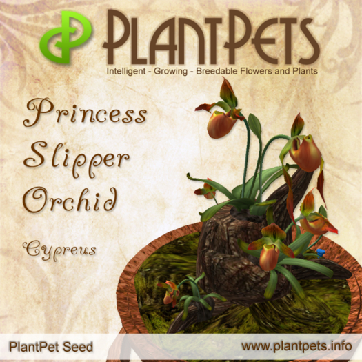 Second Life Marketplace - PlantPet Seed [Princess Slipper Orchid *Cypreus*]