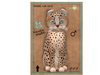 Second Life Marketplace - KittyCatS Box - 9T - M - Cheetah! - Au ...