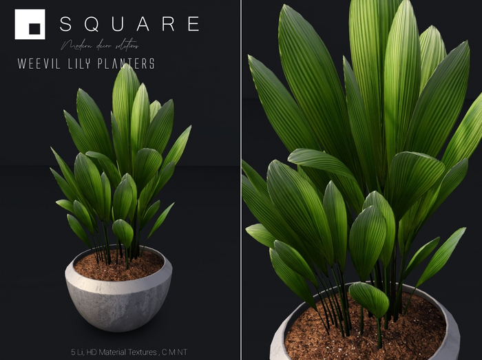 Second Life Marketplace - [ SQUARE ] - Weevil Lily Planter