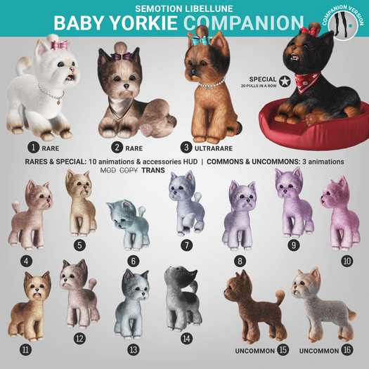 Second Life Marketplace - SEmotion Libellune Baby Yorkie Companion ...