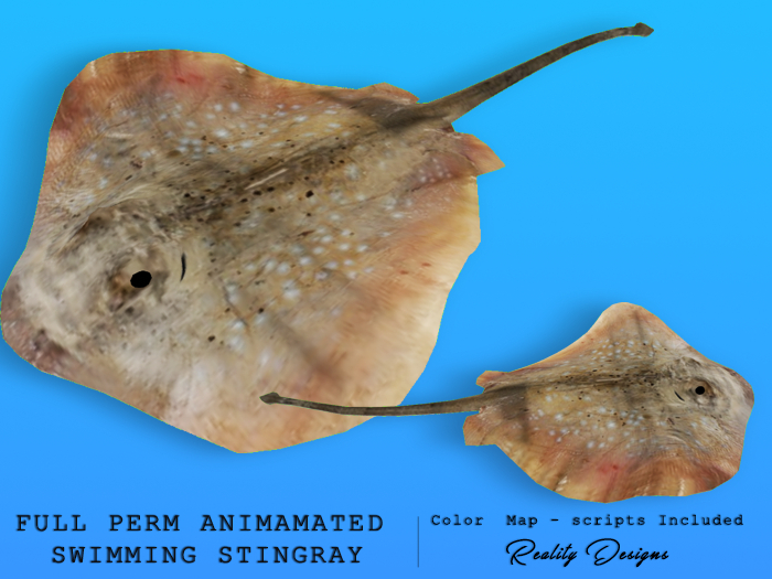 Second Life Marketplace - Full Perm Animated Swimming Stingray
