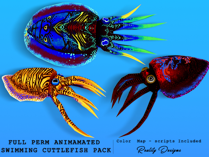 Second Life Marketplace - Full Perm Animated Swimming Cuttlefish Pack