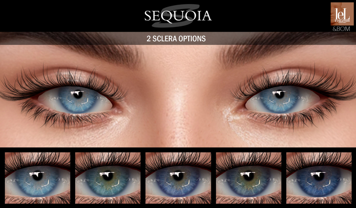 Second Life Marketplace - ::Sequoia:: Delirious blue eyes for Lelutka ...