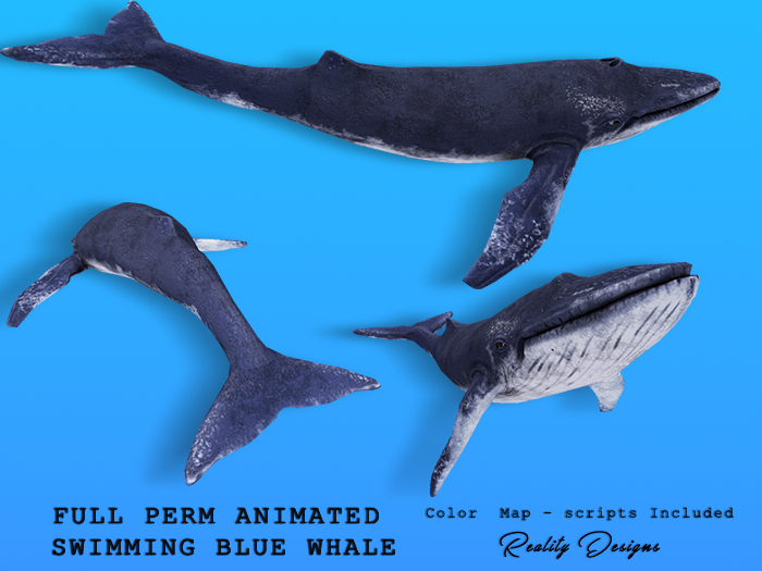 Second Life Marketplace - Full Perm Animated Swimming Blue Whale
