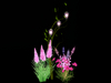 Second Life Marketplace - MC Garden Floral Lantern Patches Pink