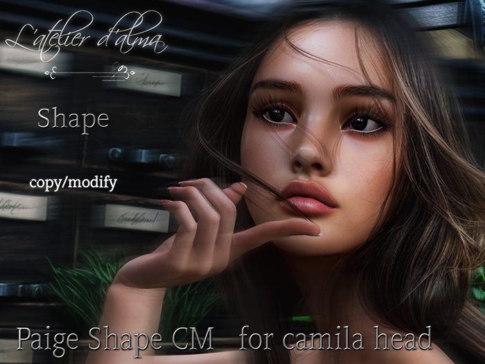Second Life Marketplace - L'atelier d'Alma - Paige Shape CM for camila head