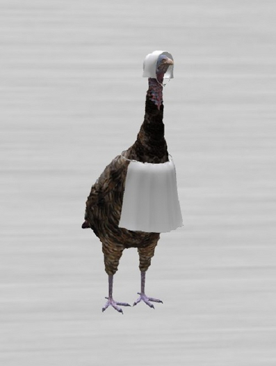 Second Life Marketplace - DFS Turkey Female - Pilgrim 2020