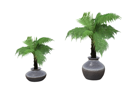 Second Life Marketplace - Plant